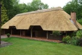 Thatch Roofs And Lapas – Superior Thatch